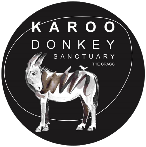 Wall Art – Karoo Donkey Sanctuary